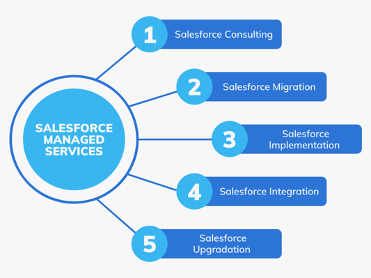 What are Salesforce Managed Services?